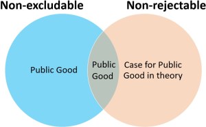 What Non-Rejectability in a Public Good Means (H2 Economics 9570). – JC ...